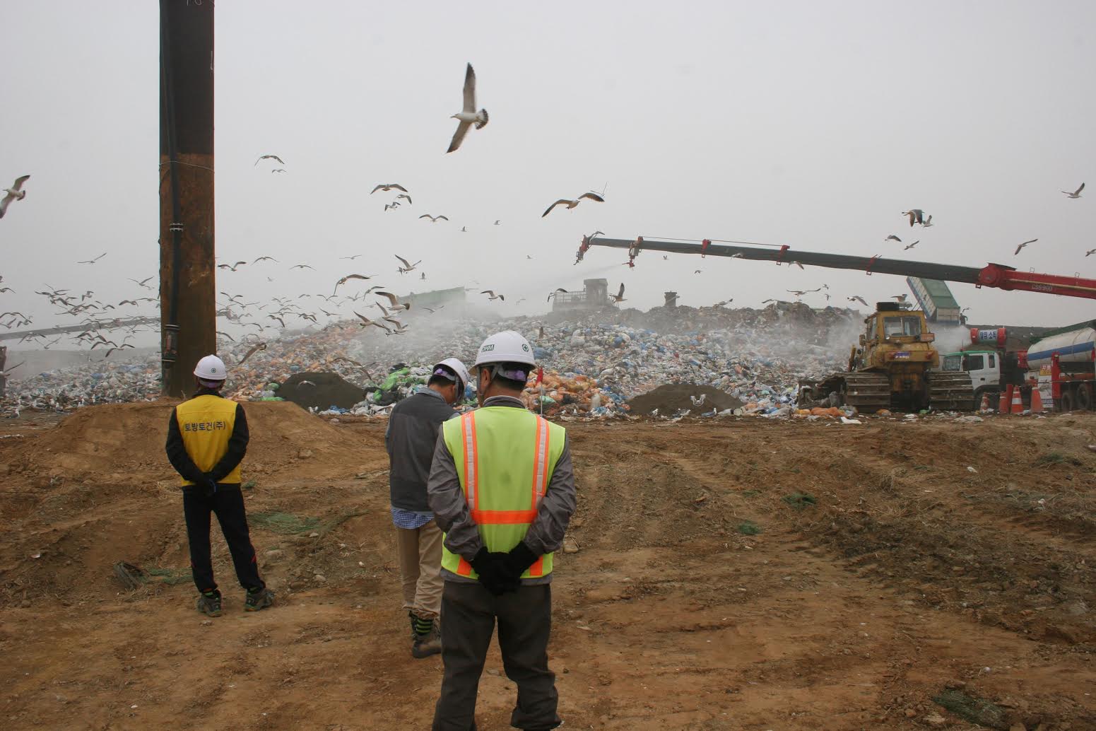South Korea Cutting Back On Food Waste Pulitzer Center South Korea Cutting Back On Food Waste Pulitzer Center