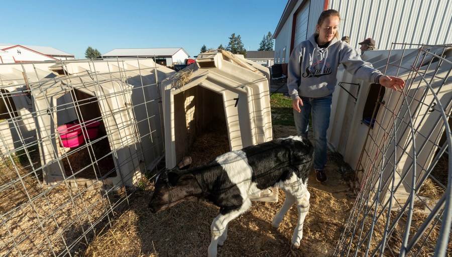 Rick Barrett | Pulitzer Center
