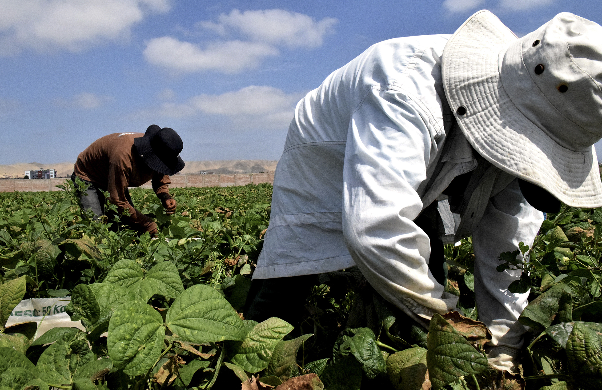 Child Labor | Pulitzer Center
