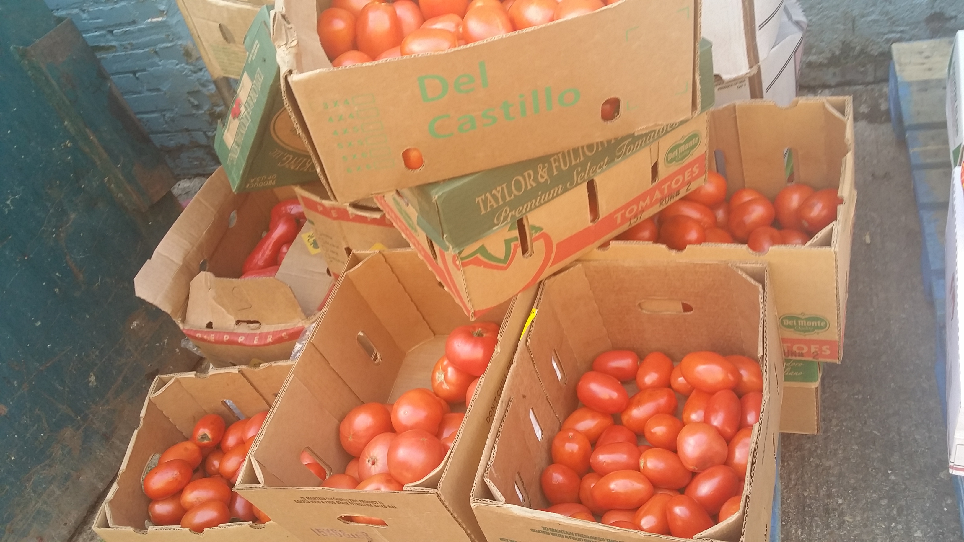 Culture of Waste: The Gap Between Food Waste and Food Insecurity ...