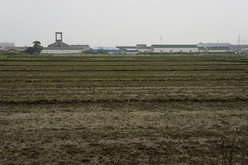 China's Toxic Soils | Pulitzer Center