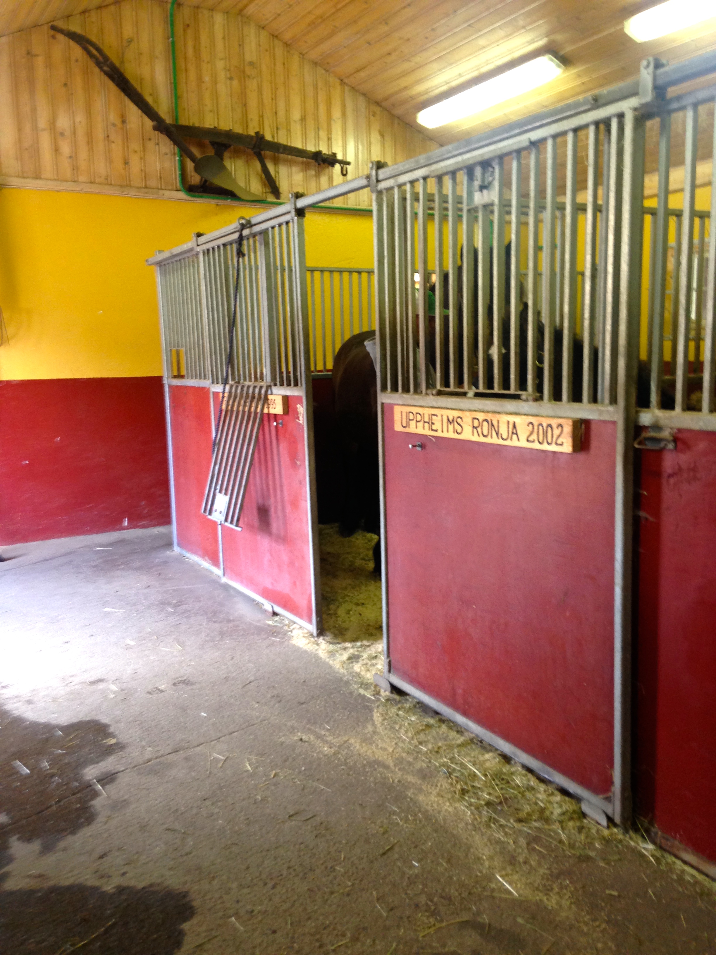 Bastøy Prison: Creating Good Neighbors | Pulitzer Center