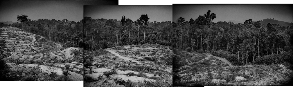 The Eroding Life for the Batek of Kuala Koh, Malaysia’s Last Hunter ...