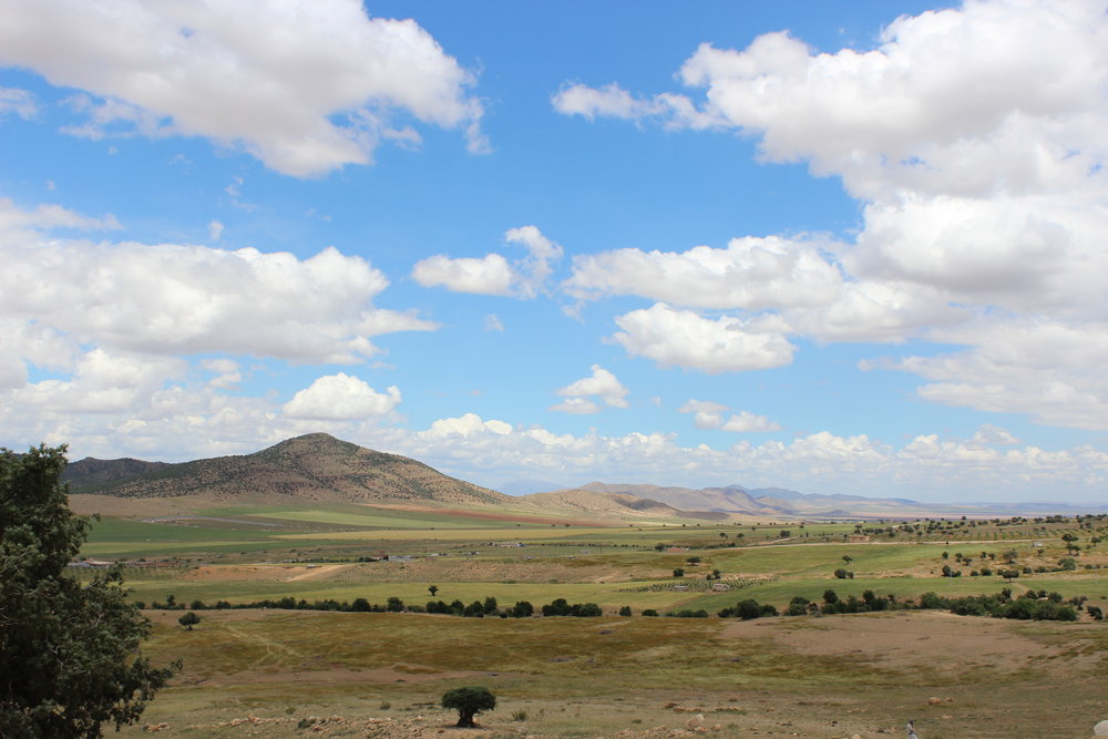 Climate Change and Sheepherding in Algeria | Pulitzer Center