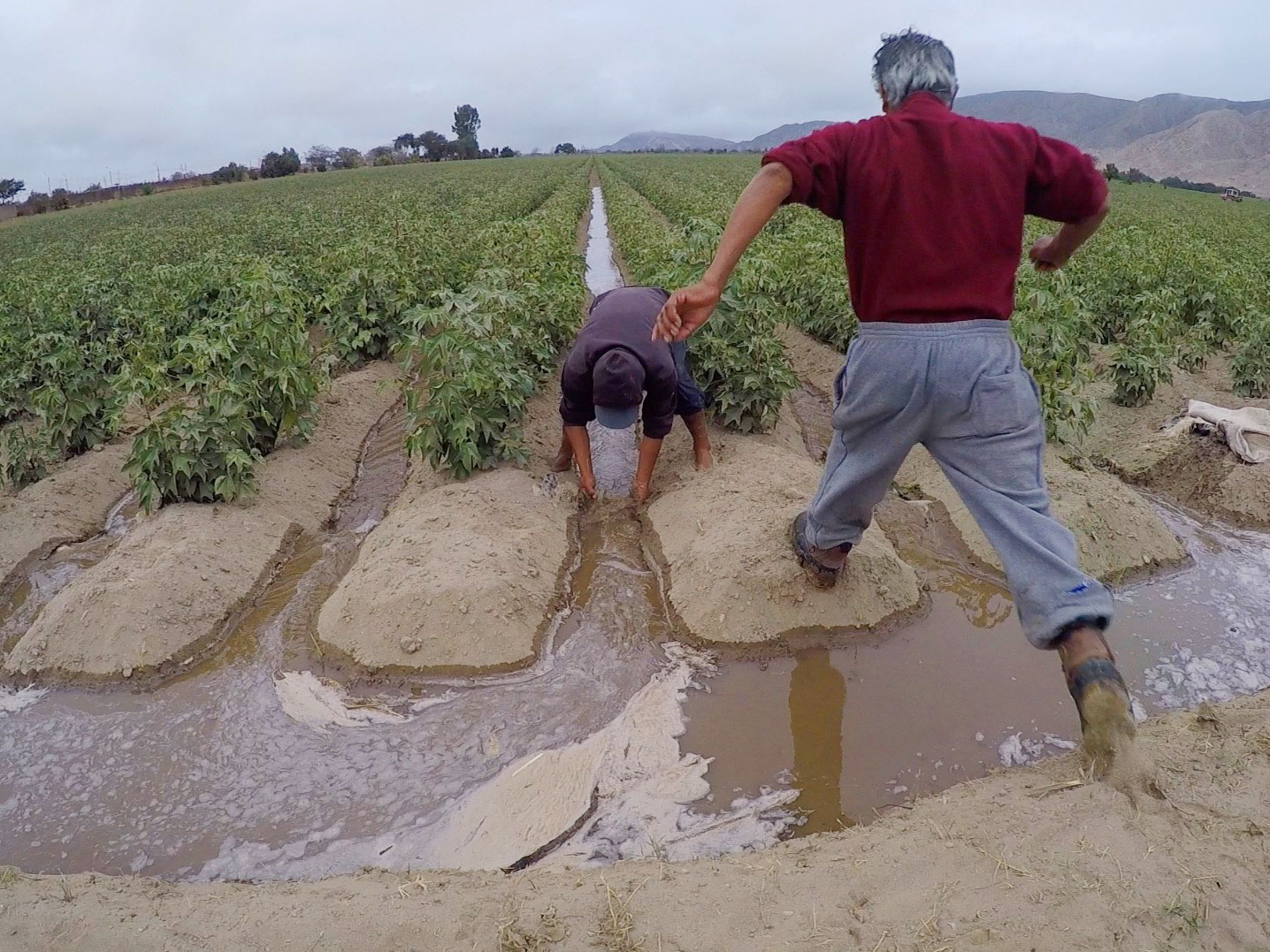 Costs of Peru's Farming Boom: Water Conflict | Pulitzer Center