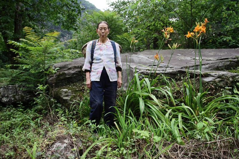 China's Fragile Forests | Pulitzer Center