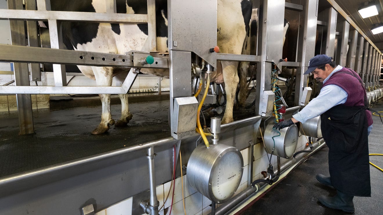 Dairyland in Distress | Pulitzer Center