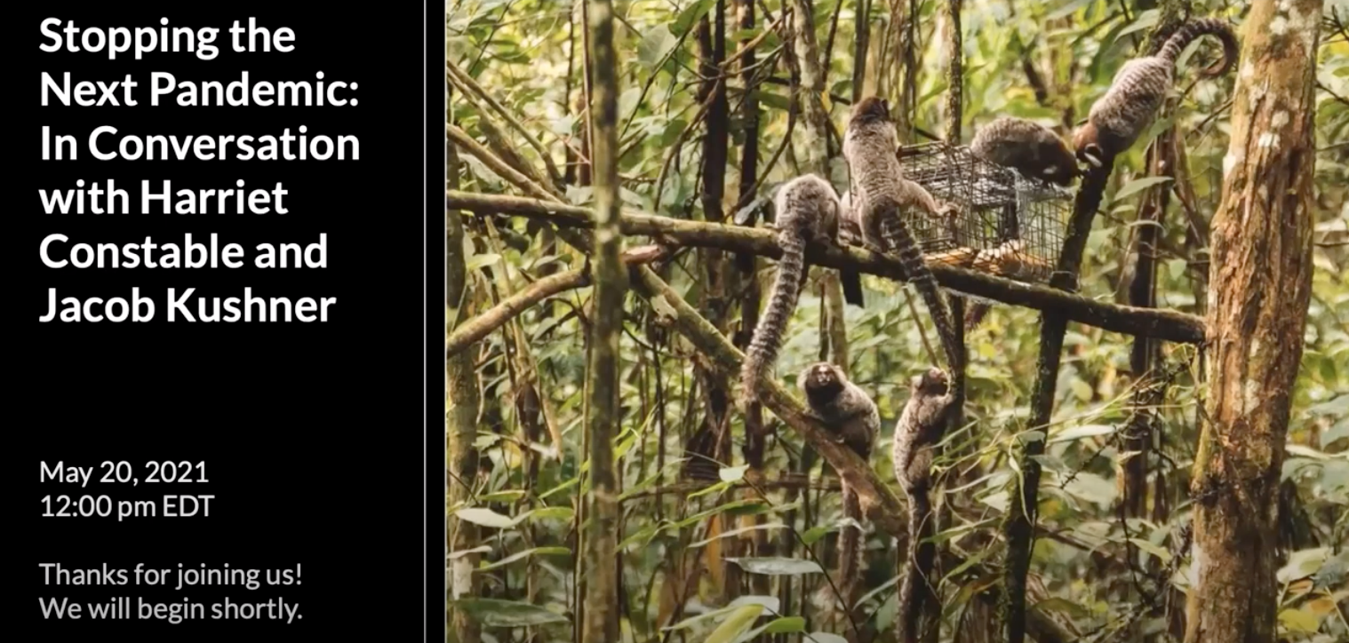 Harriet Constable | Pulitzer Center