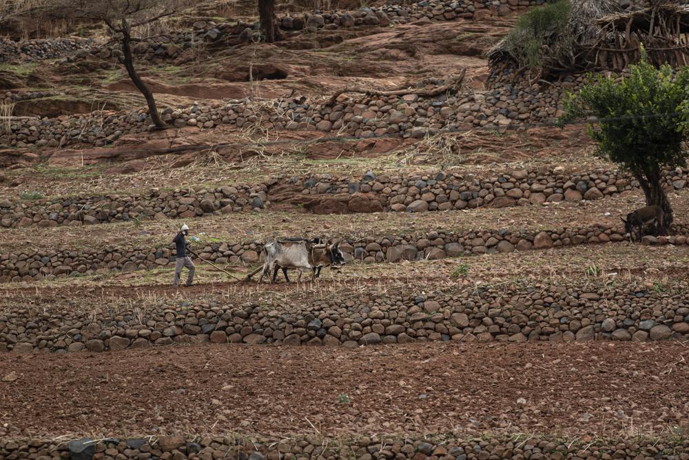 In Tigray, Food is Often a Weapon of War as Famine Looms | Pulitzer Center