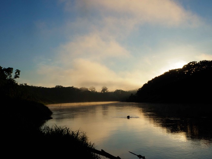 La Mula | Pulitzer Center