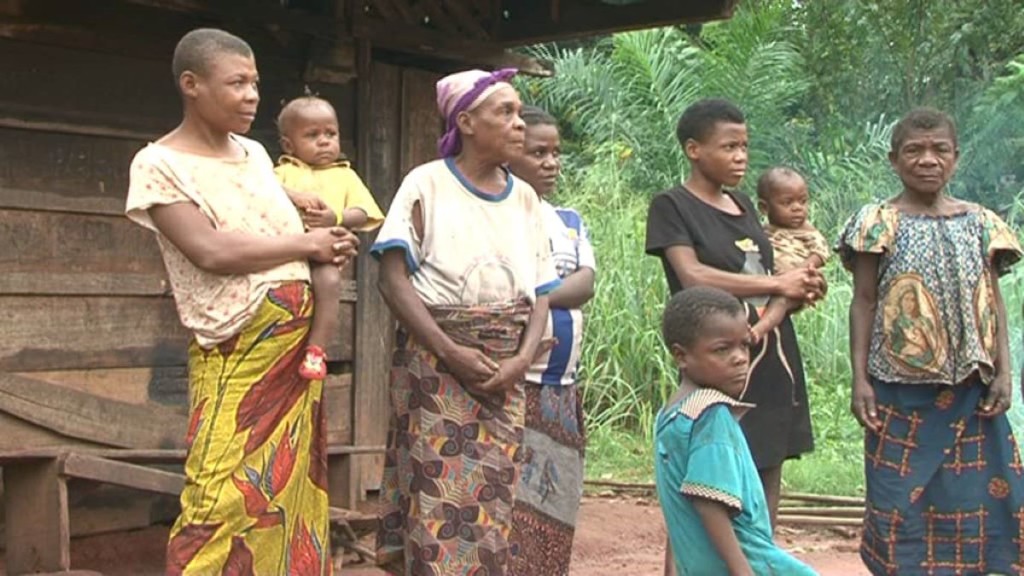 The Consequences of Deforestation on Indigenous Peoples in Central ...