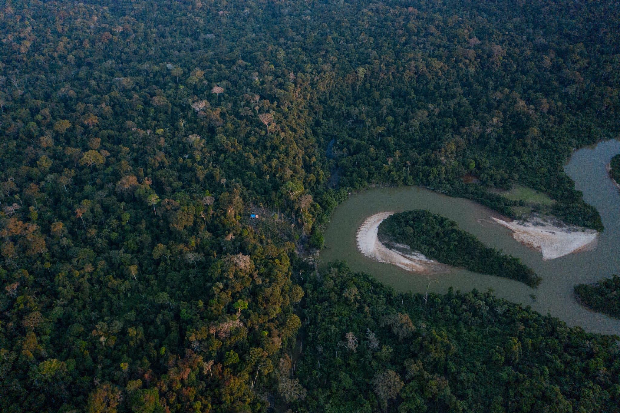 The Brazilian Amazon Is Up for Grabs. Who Profits? | Pulitzer Center