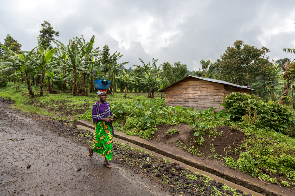 Kapanga, Kalamba: A Territory in the Midst of Deforestation (French ...