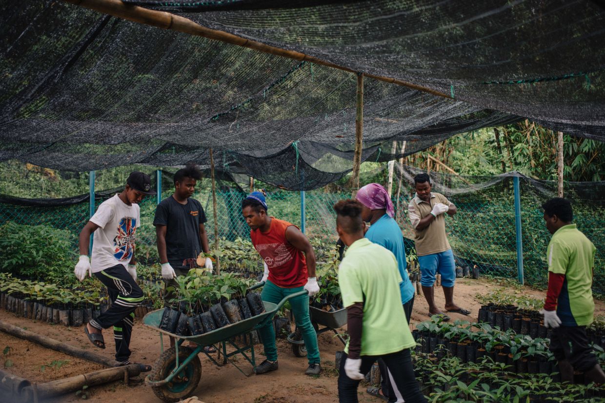 Hon Yuen Leong | Pulitzer Center