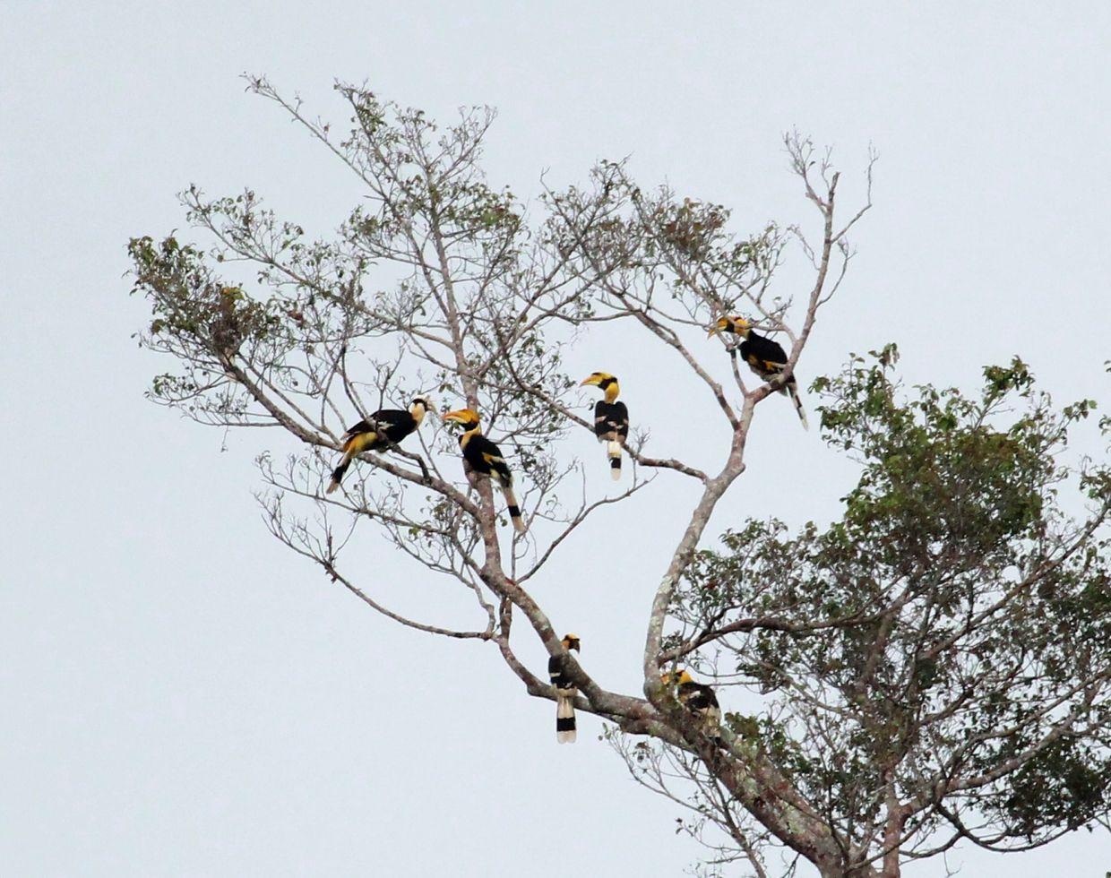 Hon Yuen Leong | Pulitzer Center