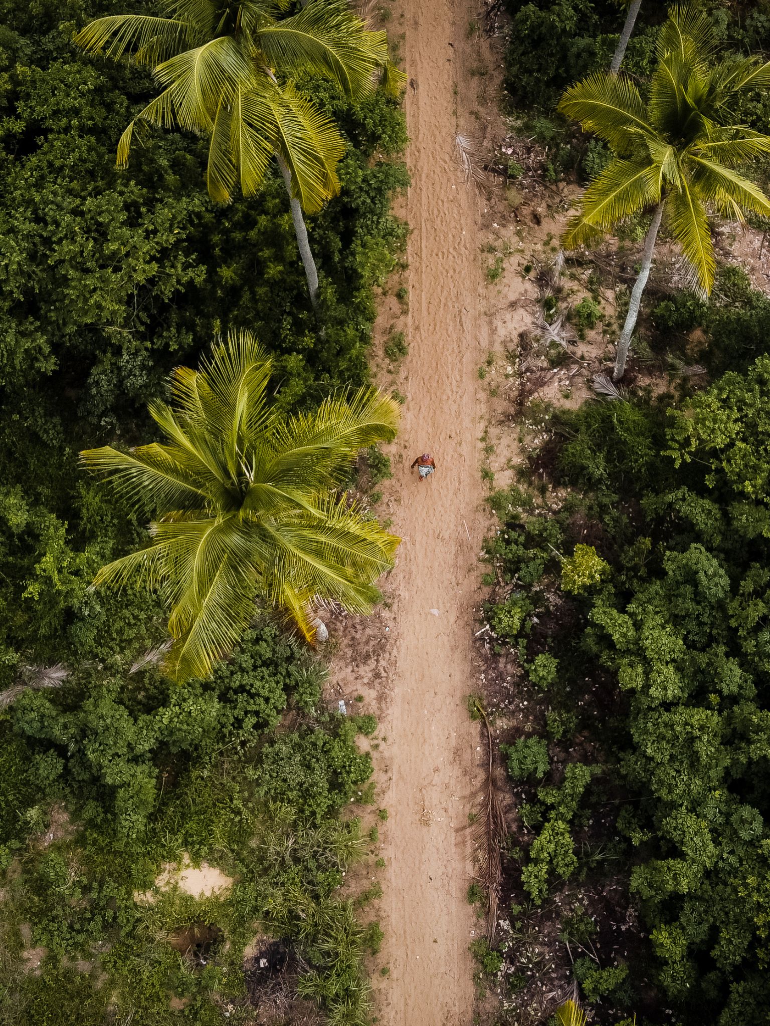 The Role and Place of Civil Society in the Fight Against Deforestation ...