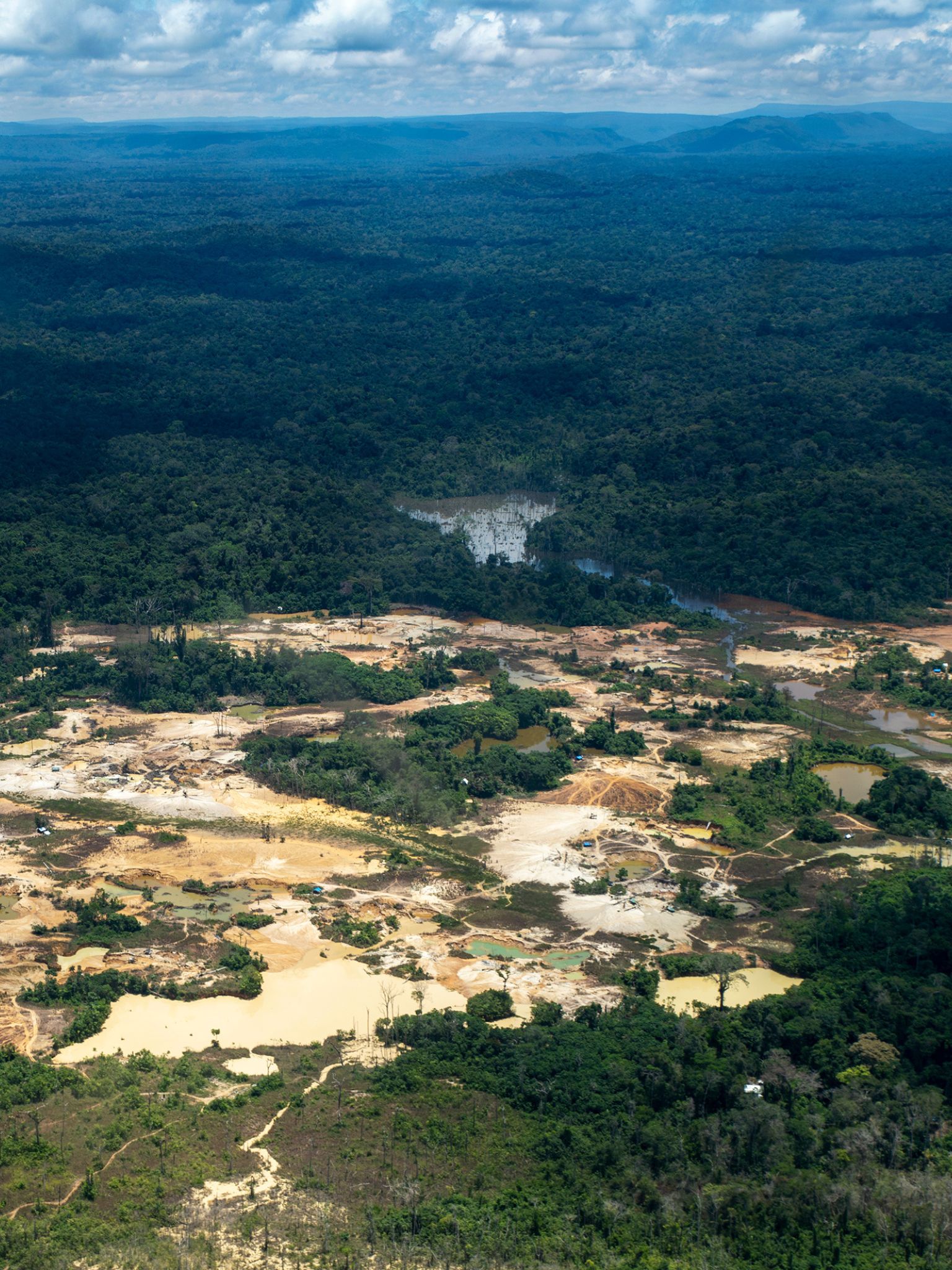 Brazil: A New Gold Rush Ravages the Yanomami Territory (French ...