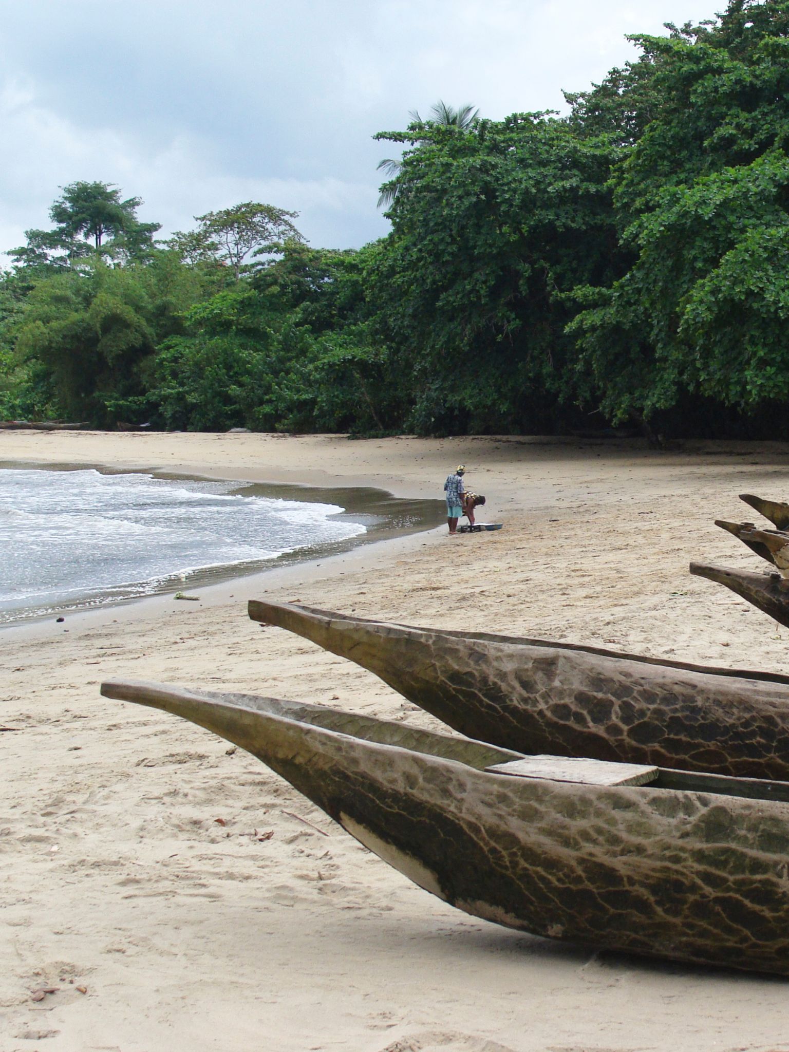 Radio: Multiple Efforts To Save Cameroon’s Coastal Mangroves | Pulitzer ...