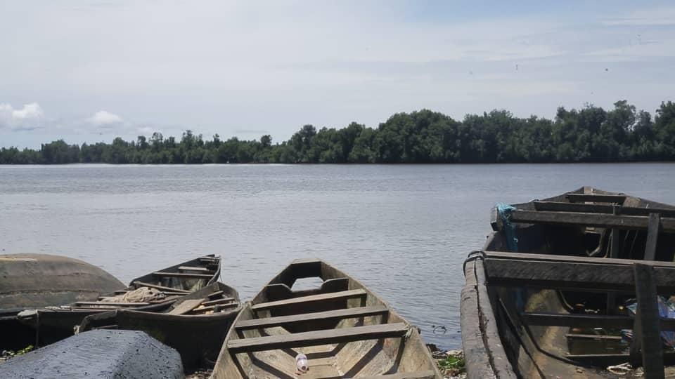 Cameroun24tv | Pulitzer Center