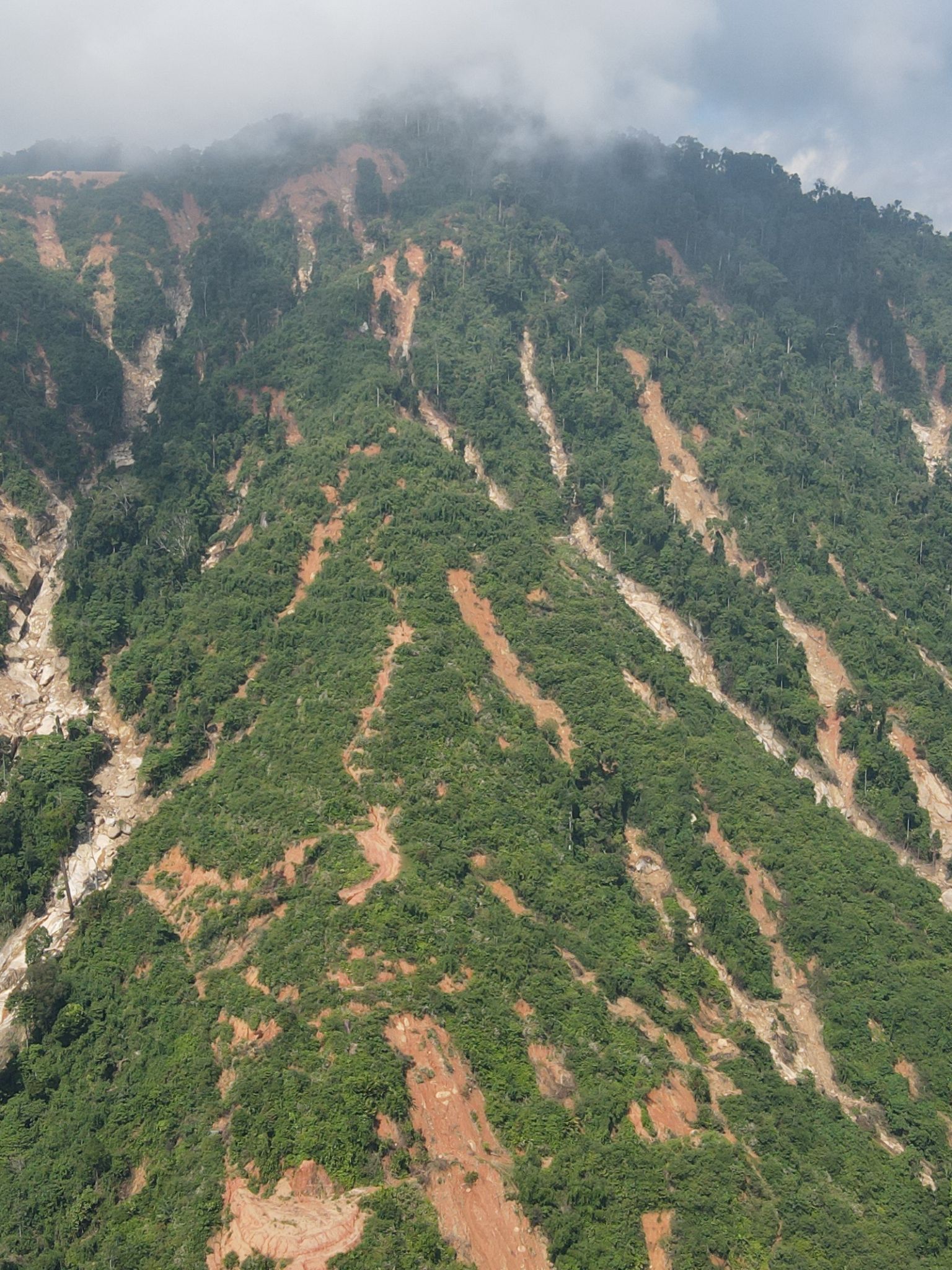 The Baling Flood Disaster: How Deforestation Destroyed a Mountain ...