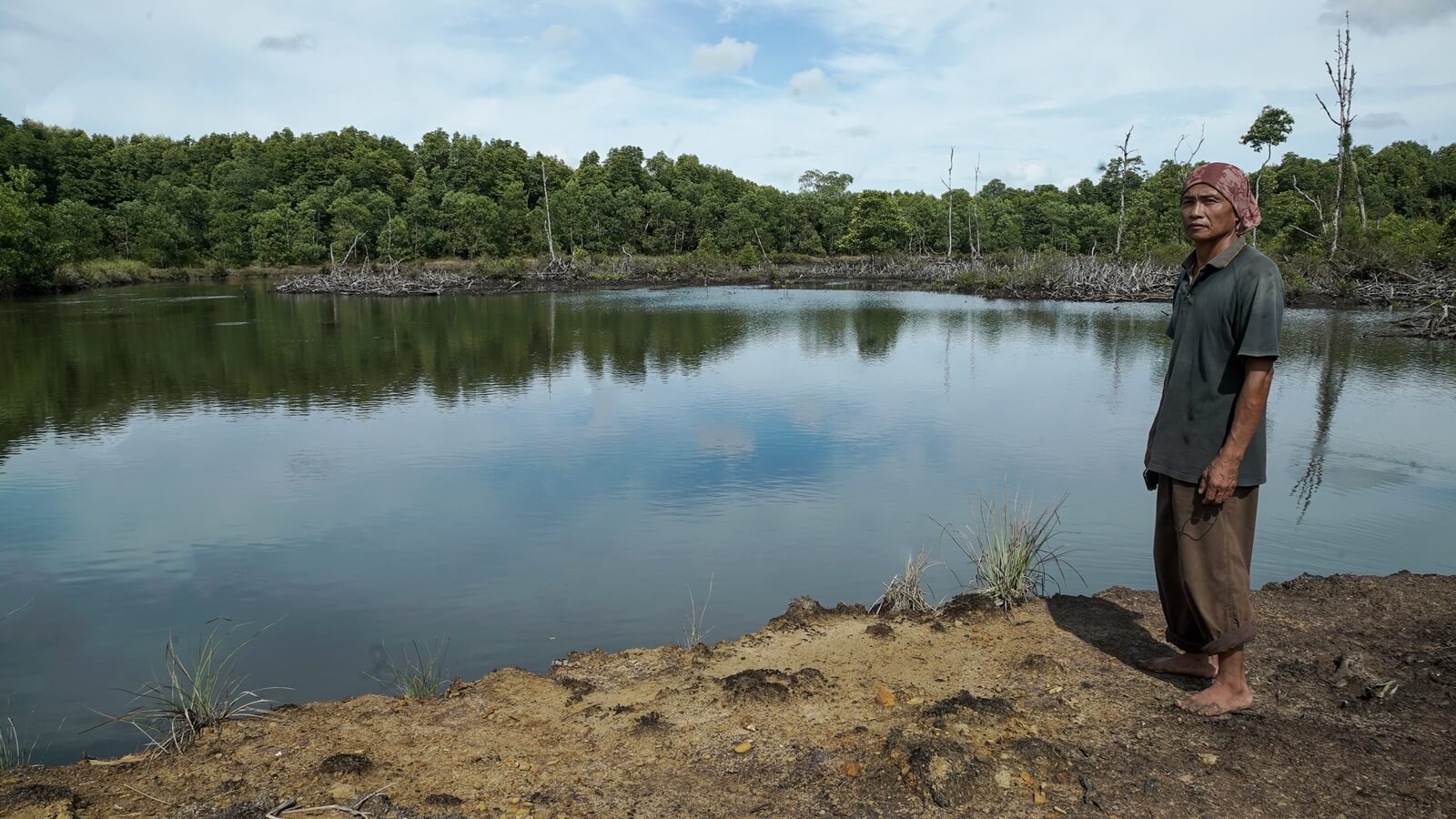 Pitas Villagers Restoring Mangroves Destroyed by Failed Shrimp Farm ...