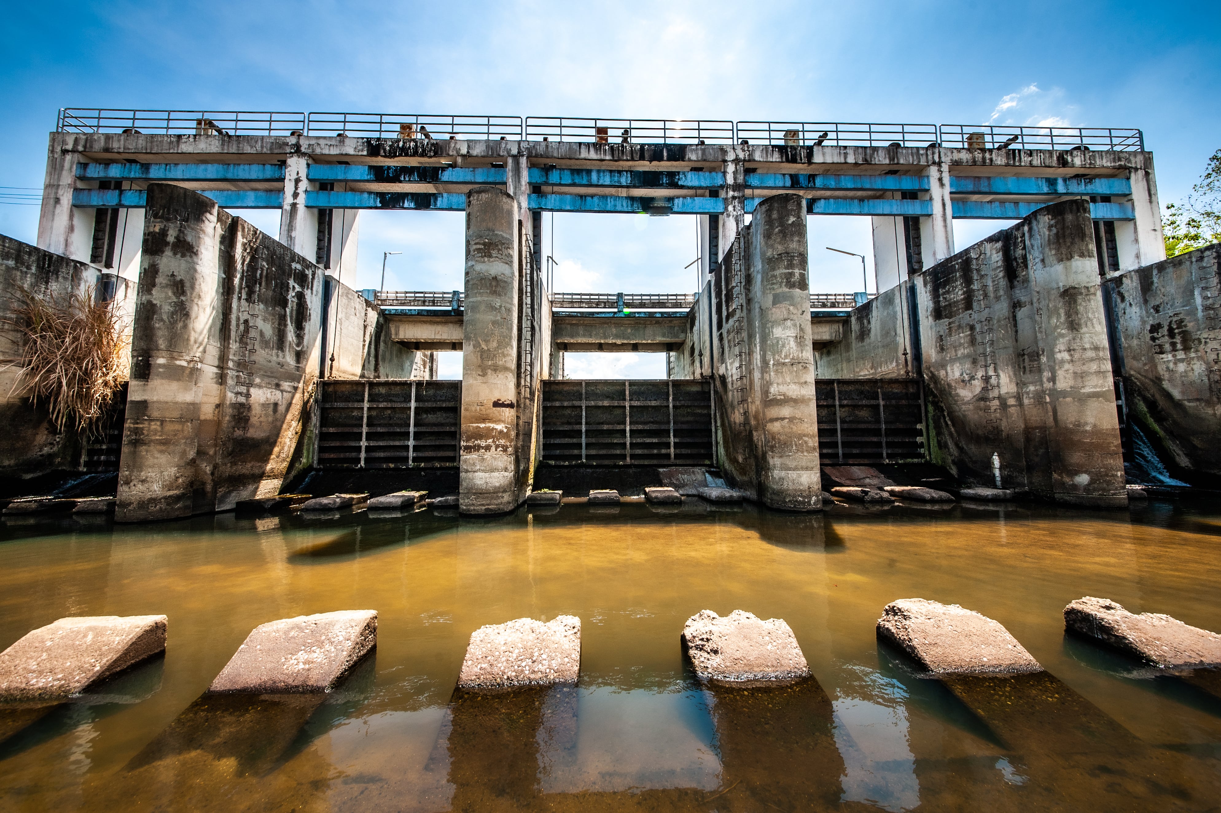 Ann Neumann | Pulitzer Center