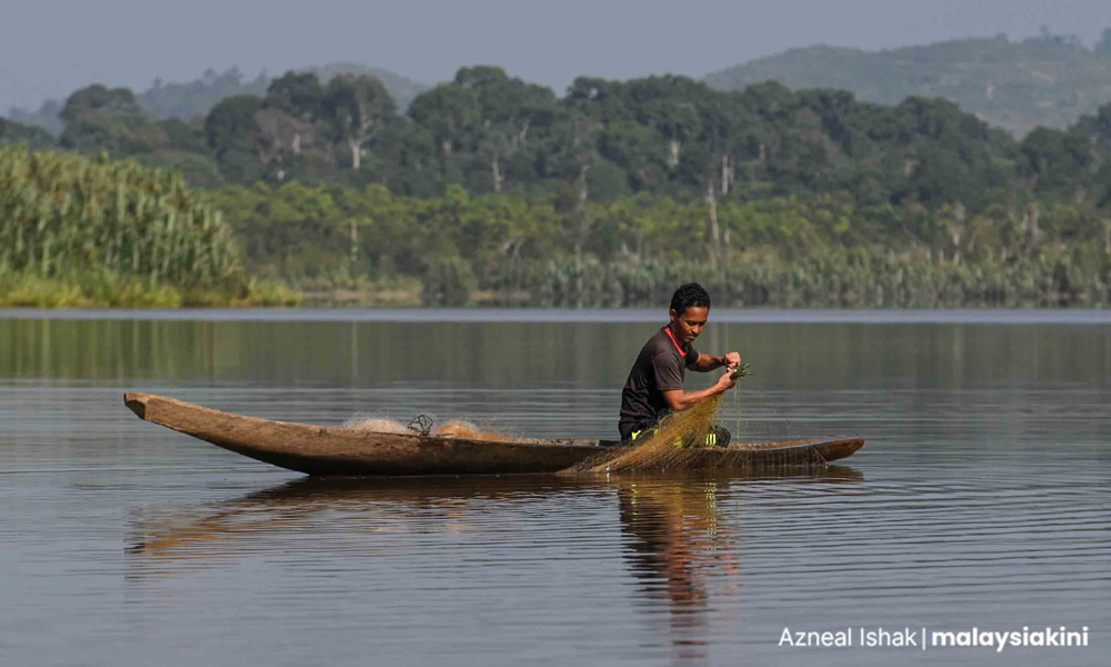 Undrinkable: The Story of Tasik Chini Pollution | Pulitzer Center
