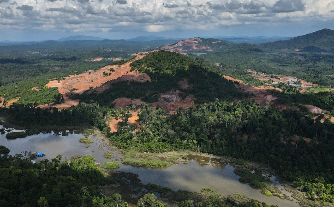 After Decades of Abuse, Tasik Chini Is Healing (bahasa Indonesia ...