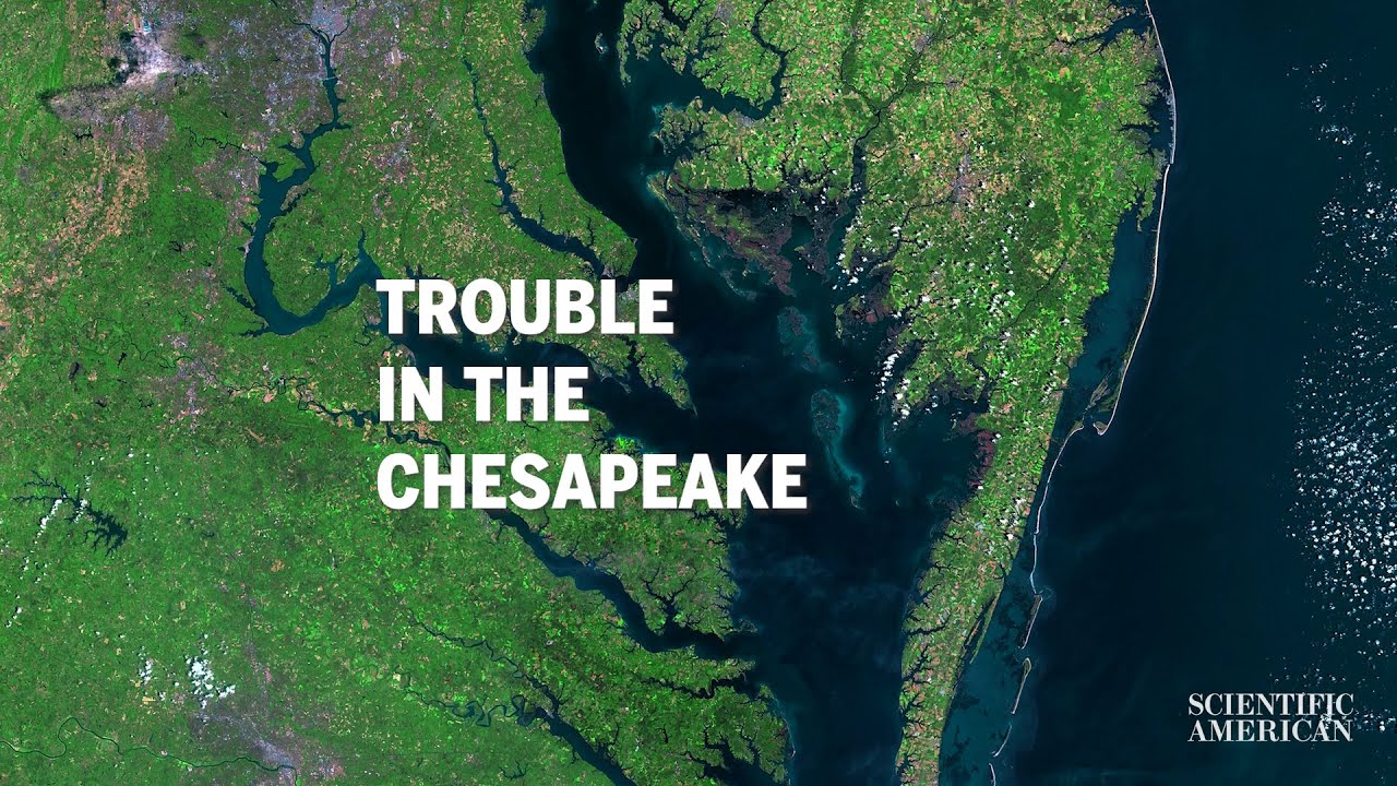 Poisoning of the Chesapeake | Pulitzer Center