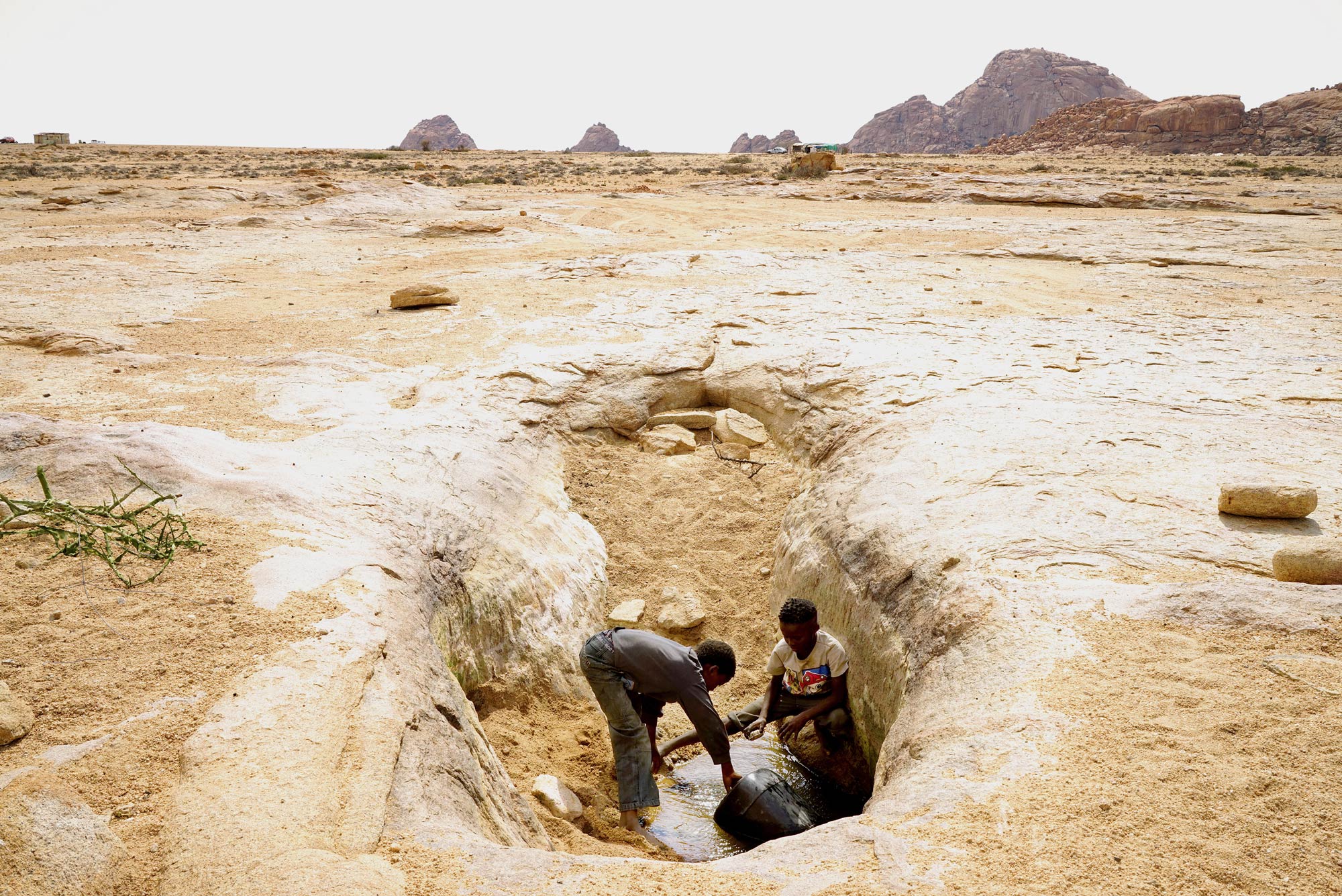 Freddie Clayton | Pulitzer Center