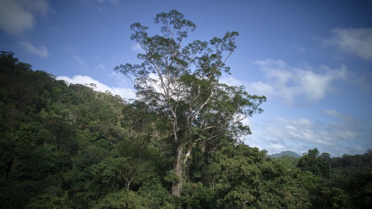 Richard Monastersky | Pulitzer Center