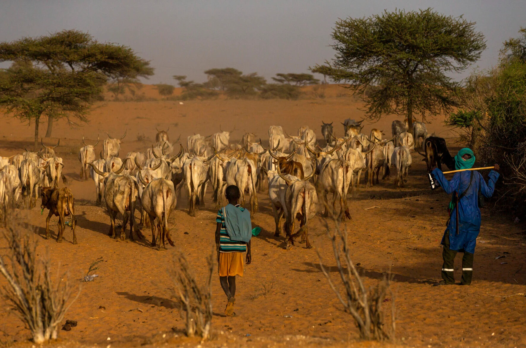 Senegal’s Lessons: What an Old City in West Africa Teaches About Rising ...