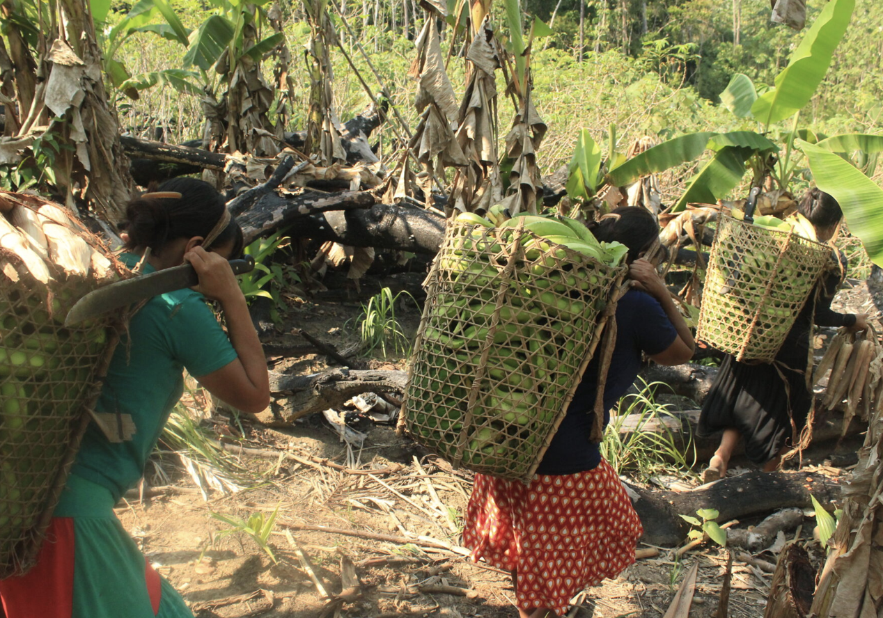 Bible and Airplane: How Missionaries Seek Out Indigenous People in the ...