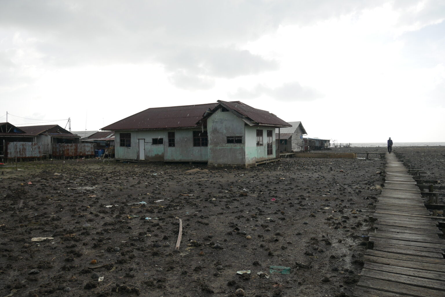 Degradation of Mangrove Forests in Indonesia | Pulitzer Center