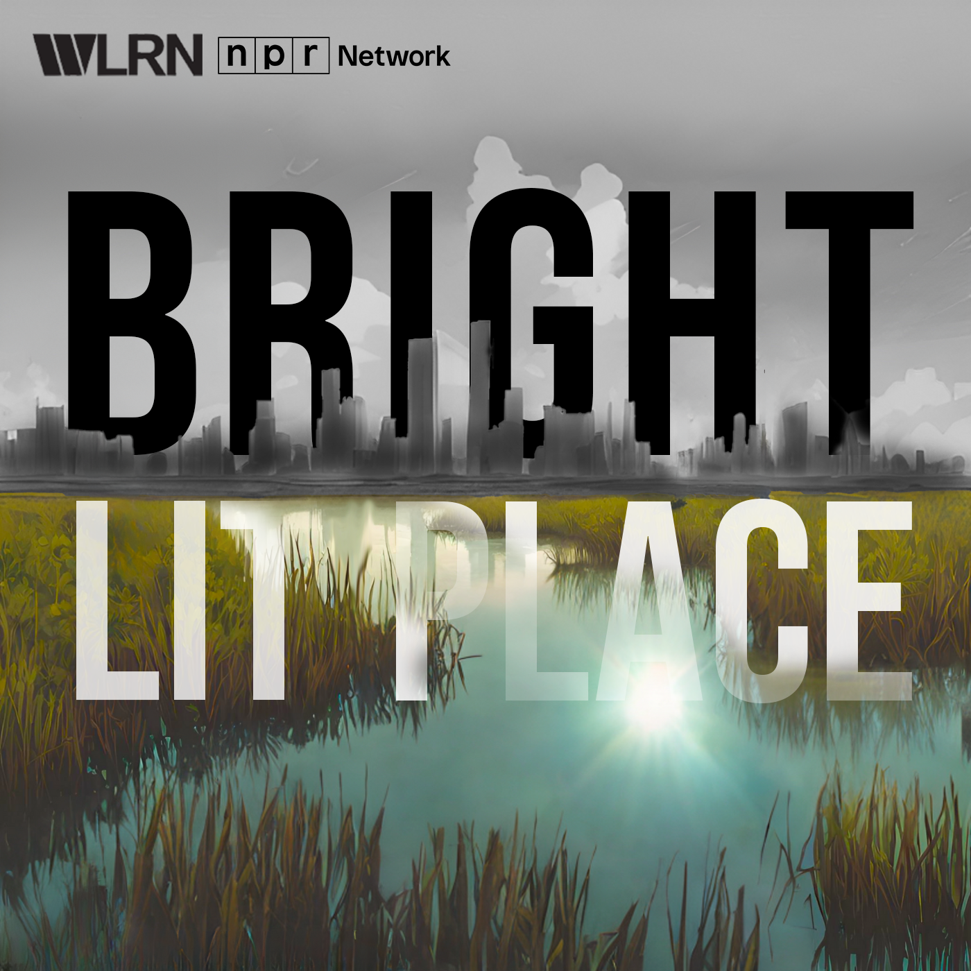 Webinar On-Demand: The Climate Café Series, 'A Bright Lit Place ...
