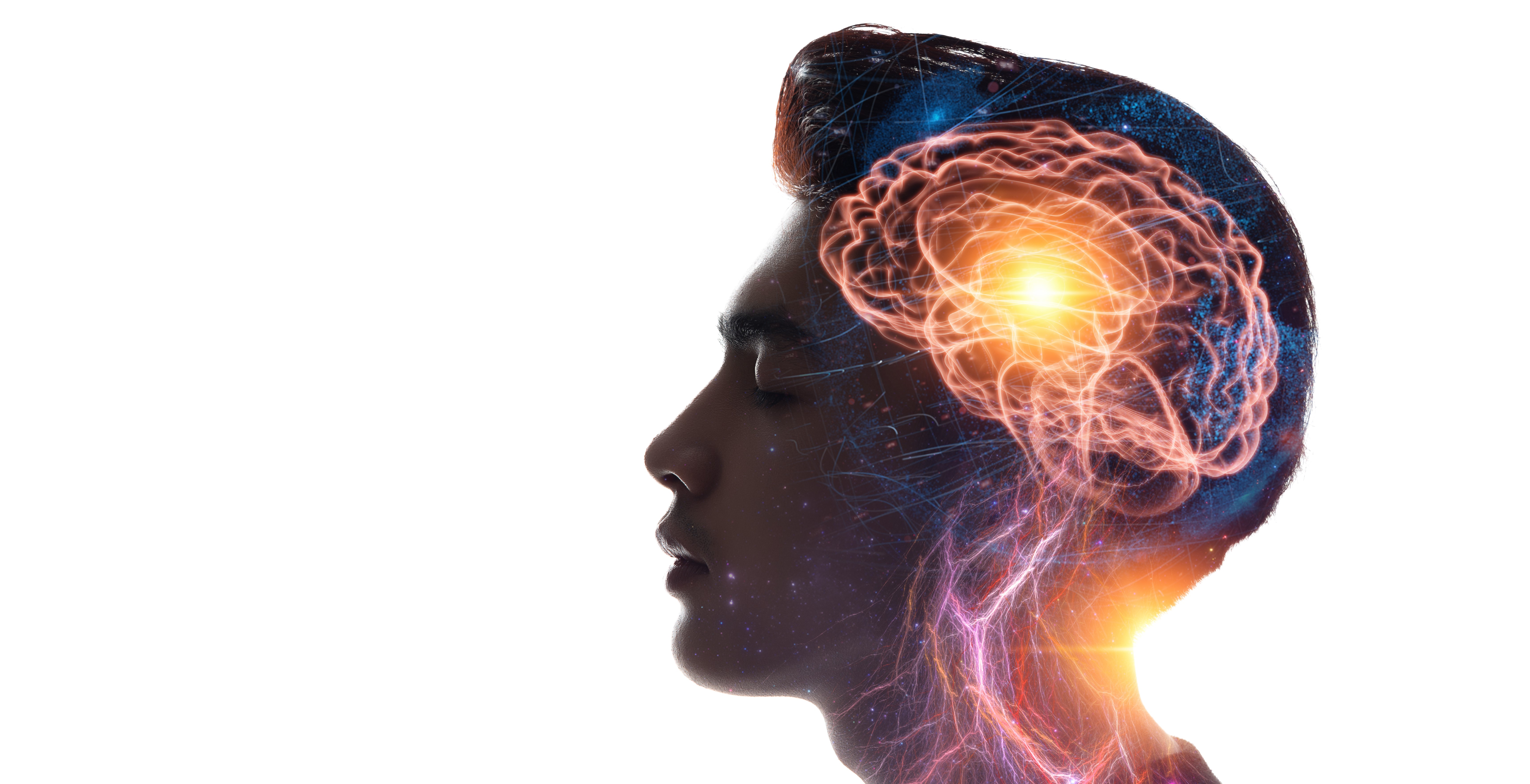 The Cognitive Science of Deception and Disinformation | Pulitzer Center