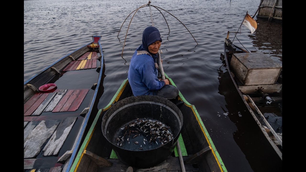 The Fish Who Lost Their 'Paradise' in the Musi River | Pulitzer Center
