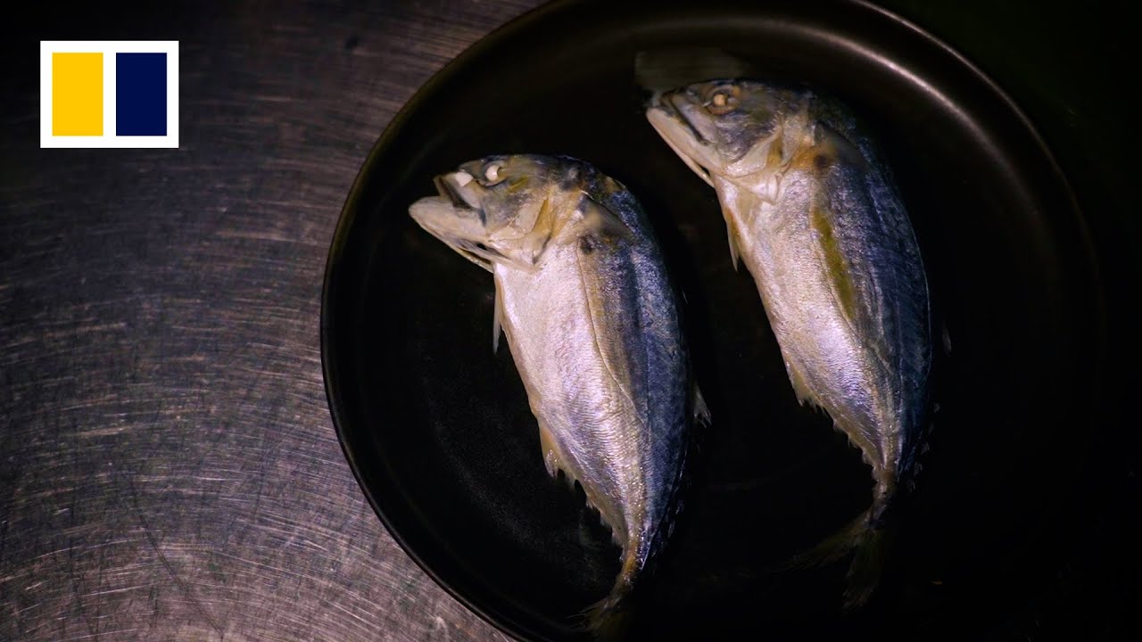 Thailand’s Favorite Fish Is Vanishing; Our Appetite Is To Blame ...