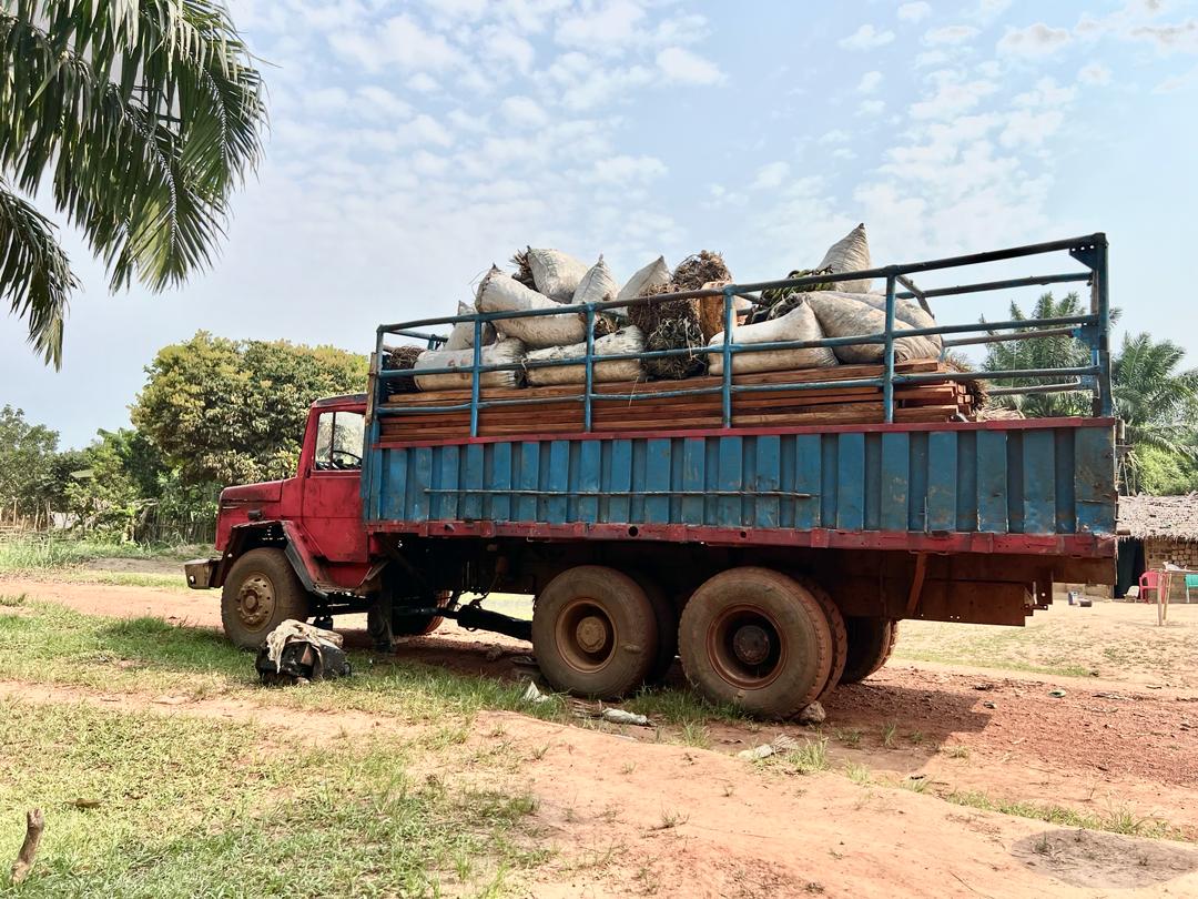 Who are the Real Artisanal Loggers in the DRC? | Pulitzer Center