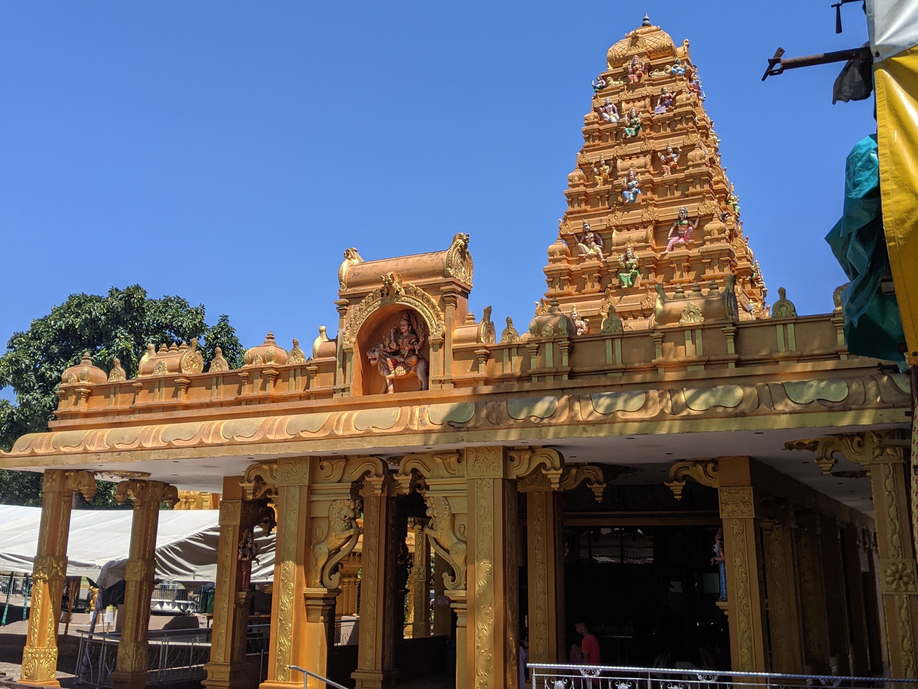 Badsha Peer, King of Africa: Seeking India’s Deccan in South African ...