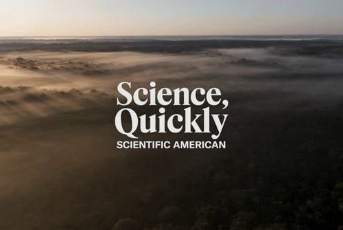 The Grand Experiment | Pulitzer Center