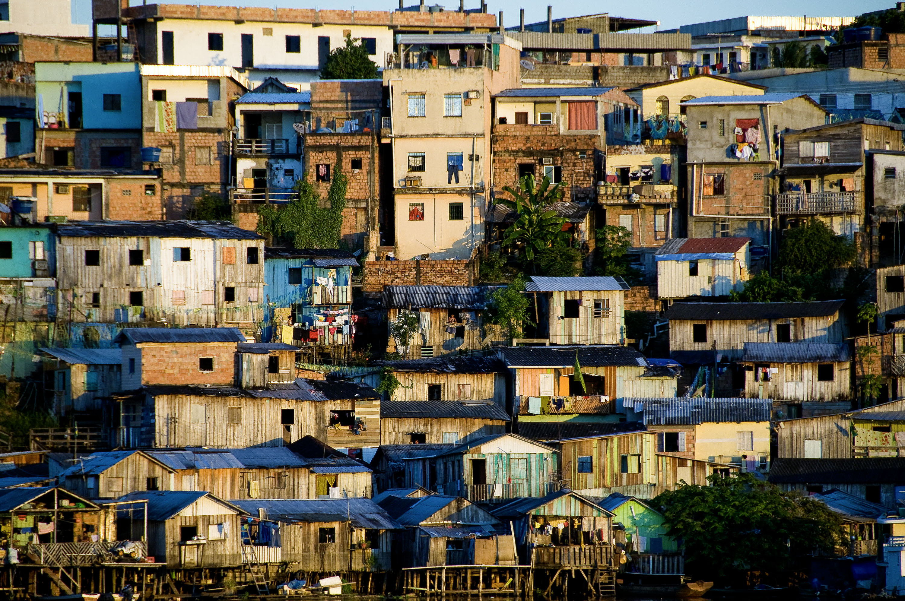 Lost Cities of the Amazon: How Science Is Revealing Ancient Garden ...