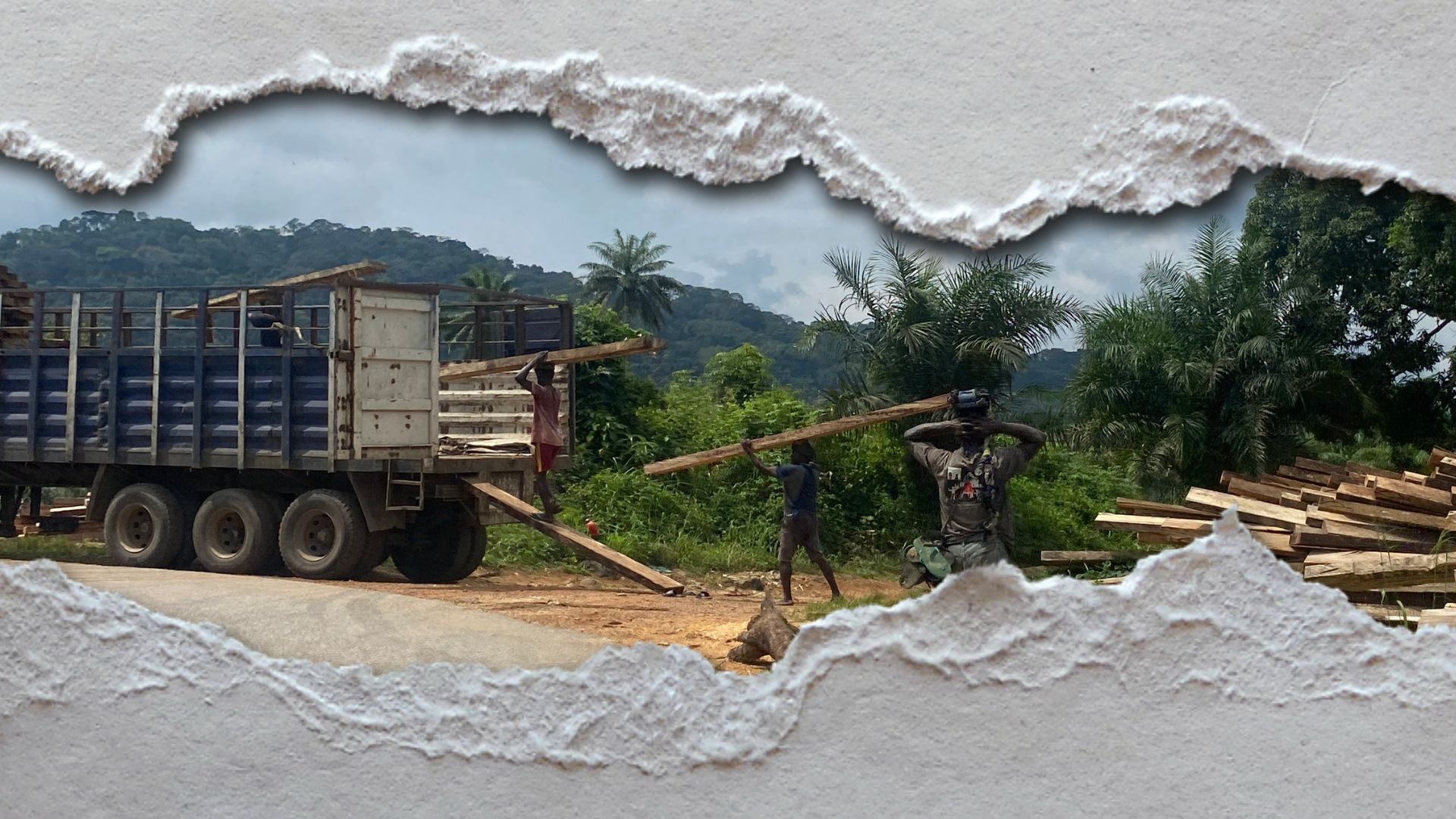 Illegal Logging in a Nigerian National Park | Pulitzer Center
