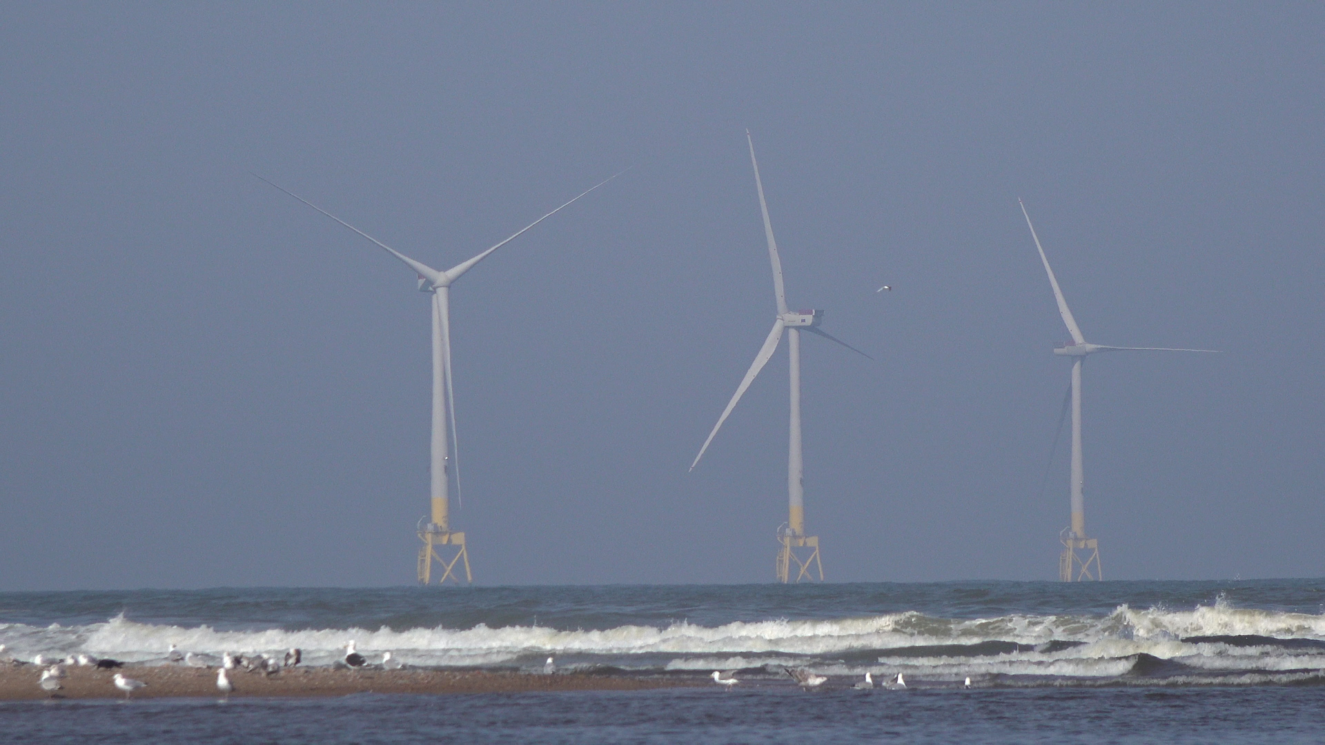 Scottish Oil Town Hopes to Be Europe’s Green Energy Capital | Pulitzer ...