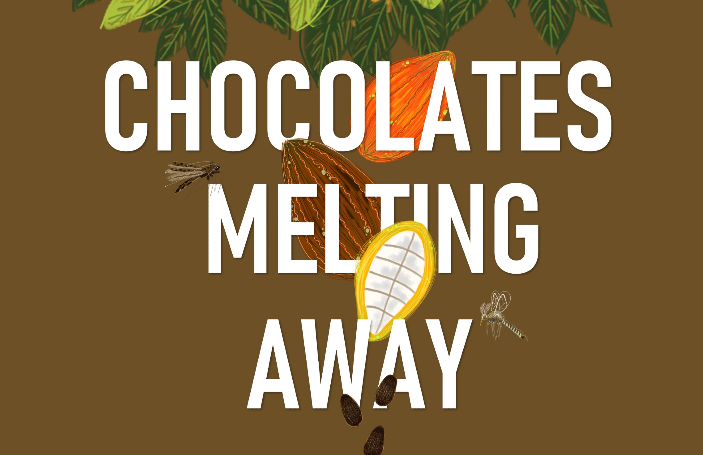Melting Point: Rescuing Chocolate in a Warming World | Pulitzer Center