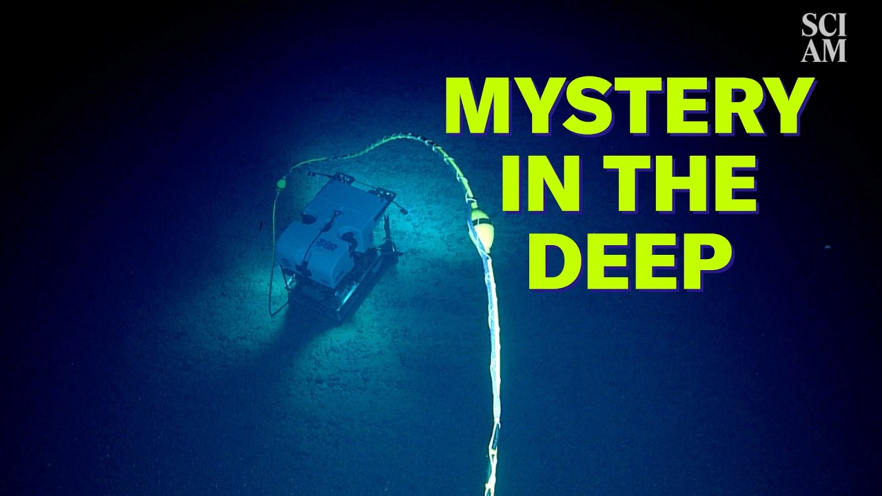 'Nodules': A Documentary | Pulitzer Center