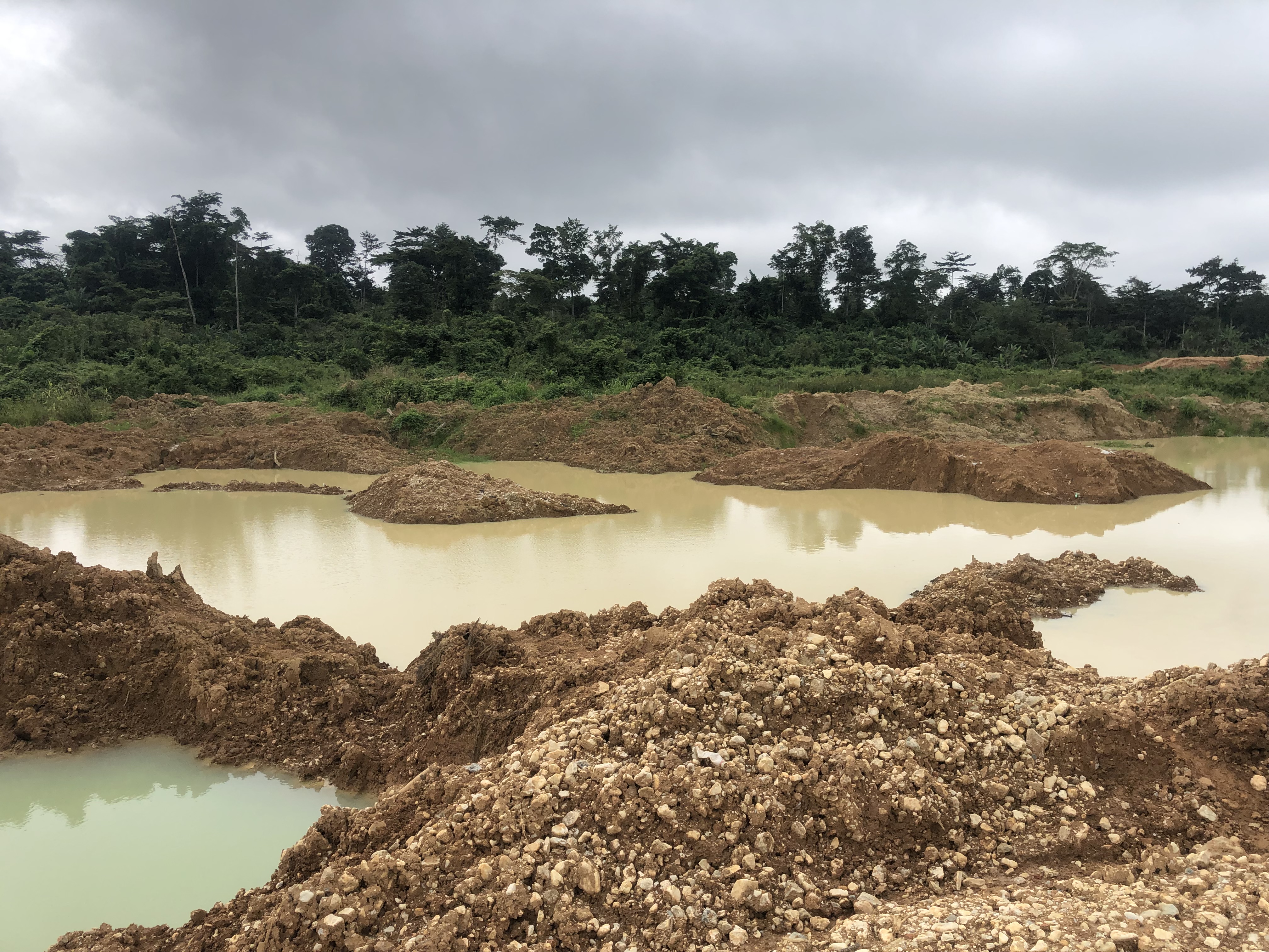 The Long Fight To Protect Ghana’s Atewa Forest Goes On | Pulitzer Center