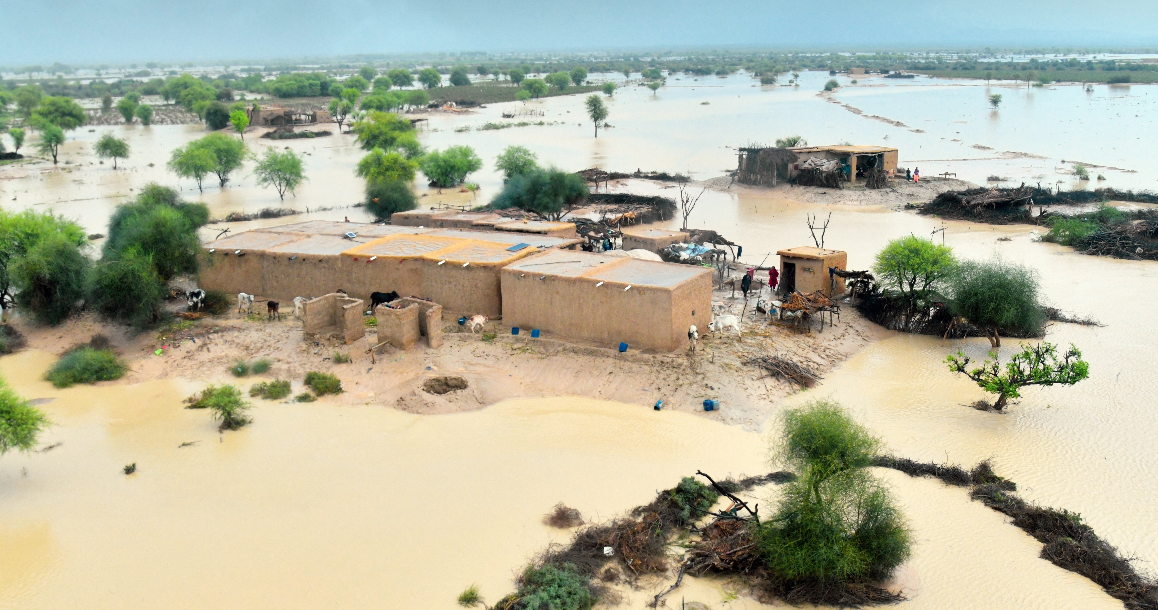 Can Pakistan Survive Climate Change? | Pulitzer Center