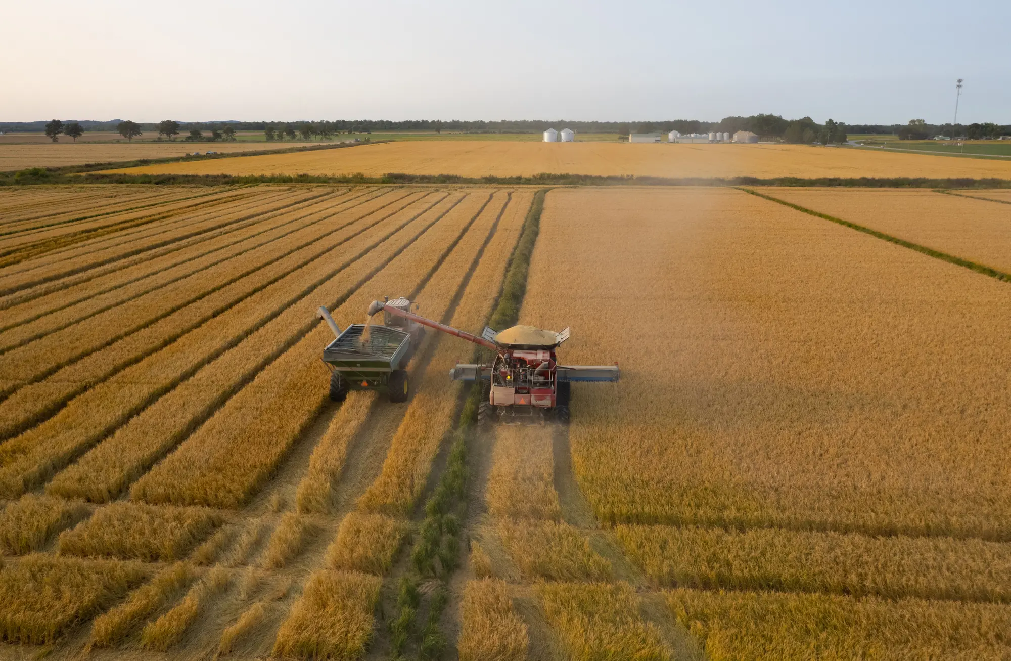 Julia Rendleman | Pulitzer Center