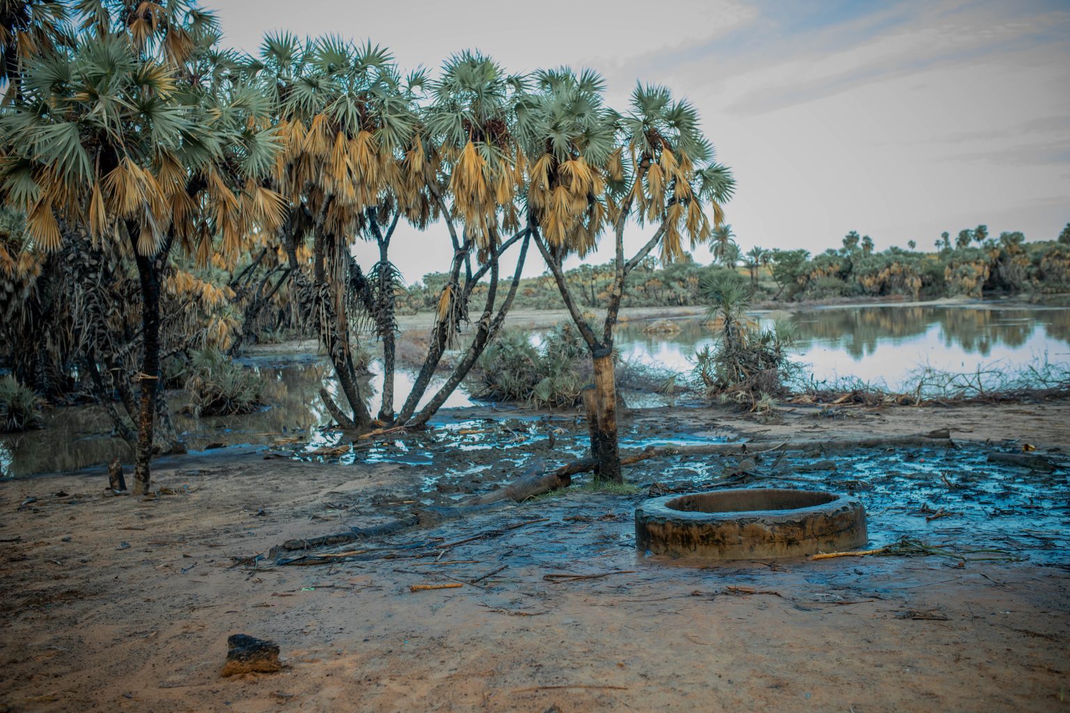 Climate Shocks, Governance Gaps and the Refugee Crisis in the Sahel ...